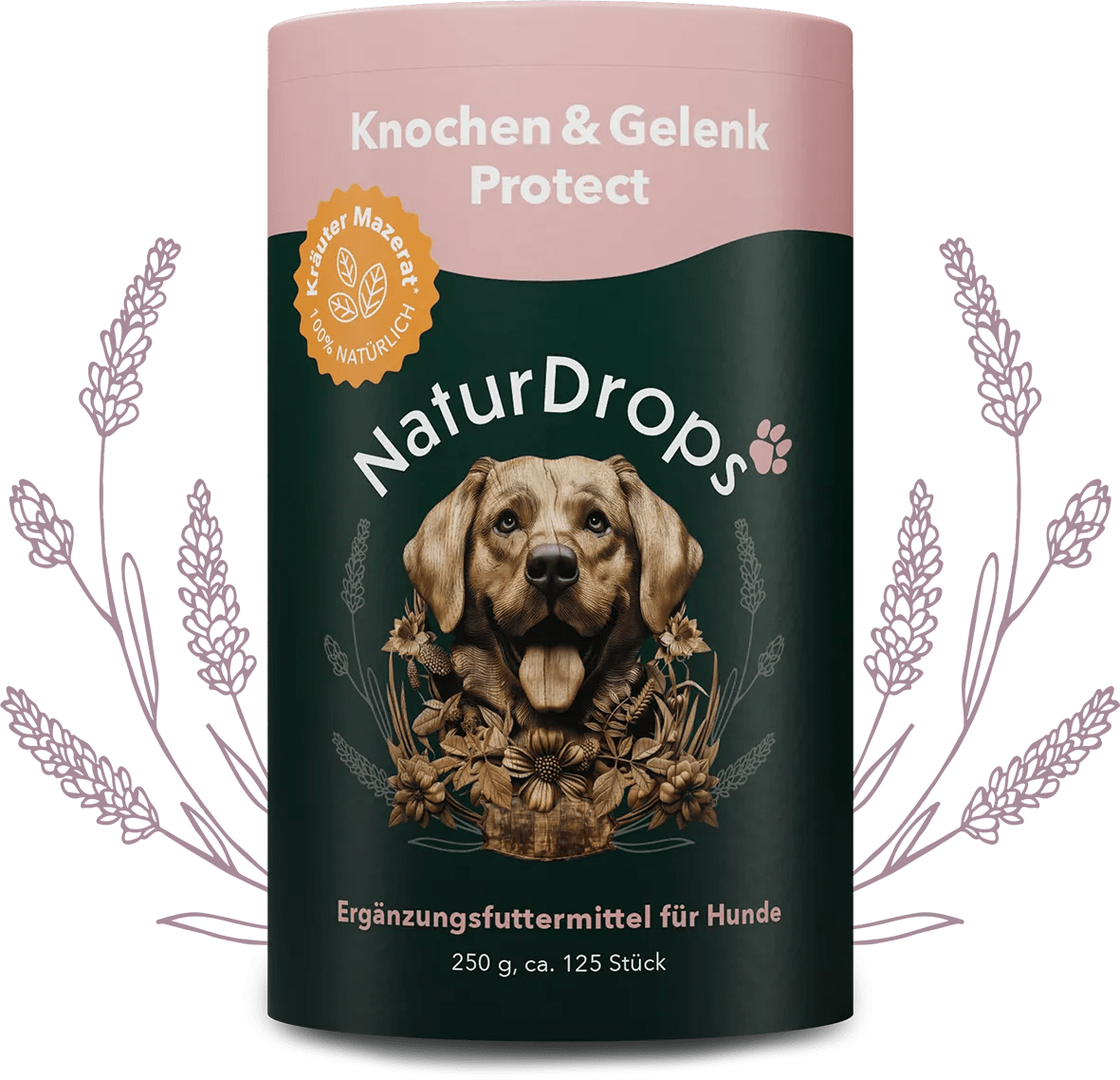 Knochen & Gelenk Protect – Nahrungsergänzung Gelenke – NaturDrops